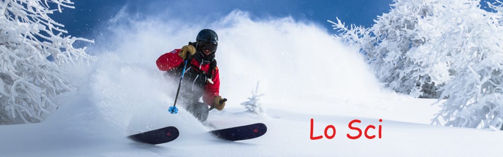 losci-art
